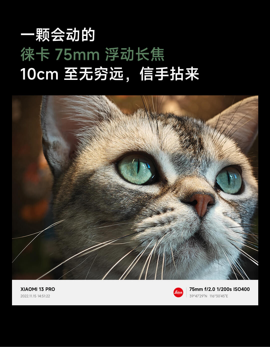 小米商城